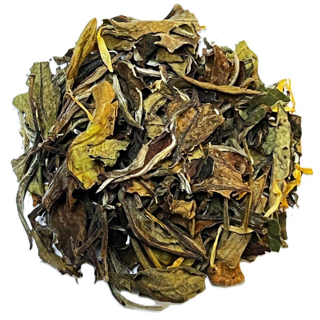 White Tea - Naturally Flavored Unoxidized White Teas | Drink Great Tea