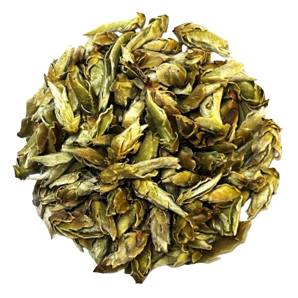 Puerh White Tea - Bao Shan Bai Ya Emerging Bud Puerh | Drink Great Tea