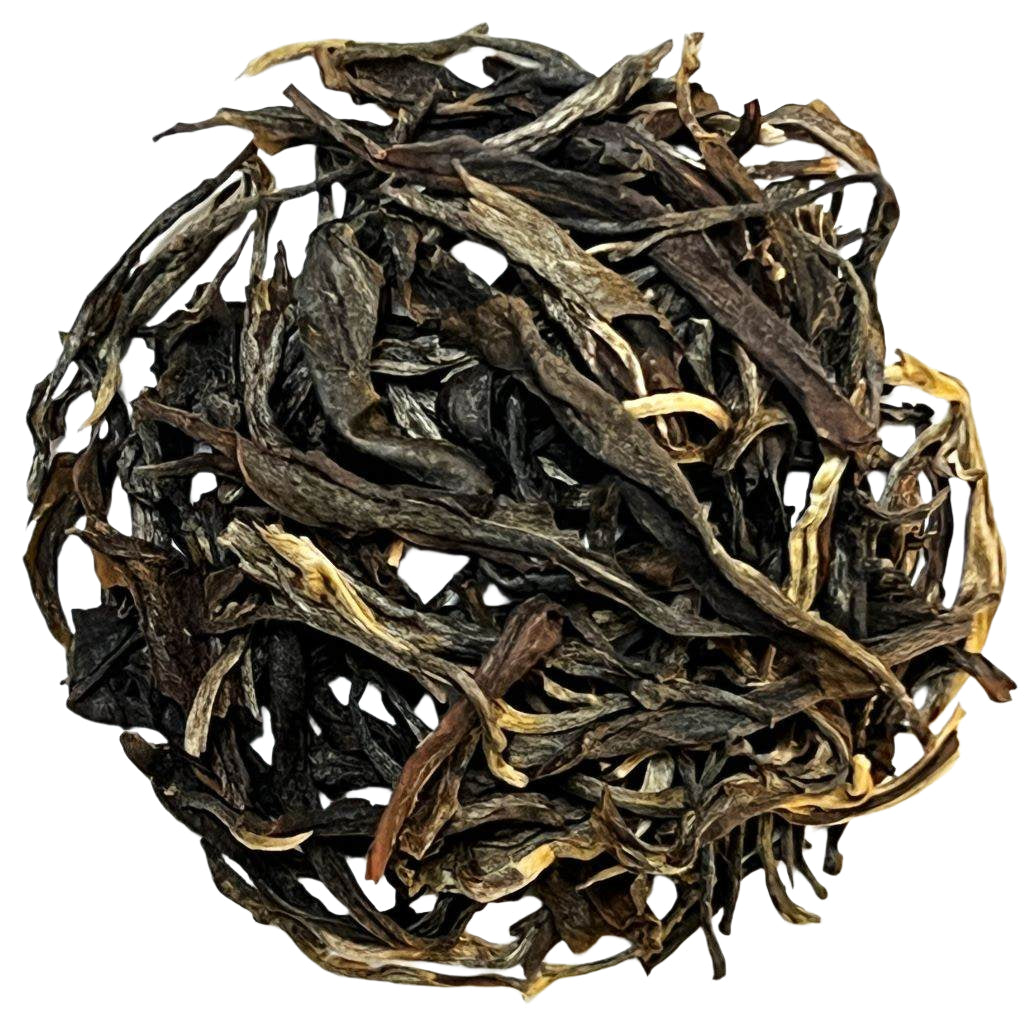 Puerh Tea - Pasha Qing 14 Famous Mountain Raw Puerh | Drink Great Tea