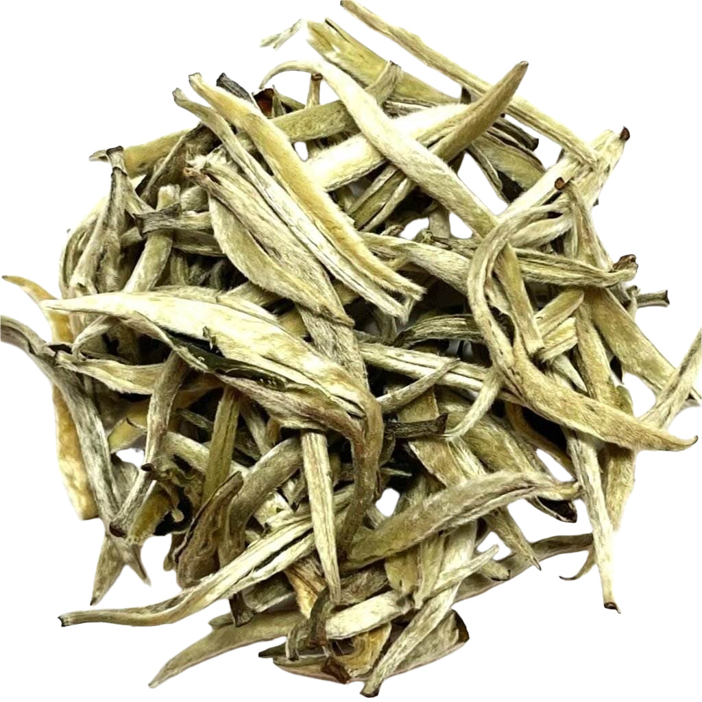White Tea Silver Needle Tea - Bai Hao Yin Zhen White | Drink Great Tea