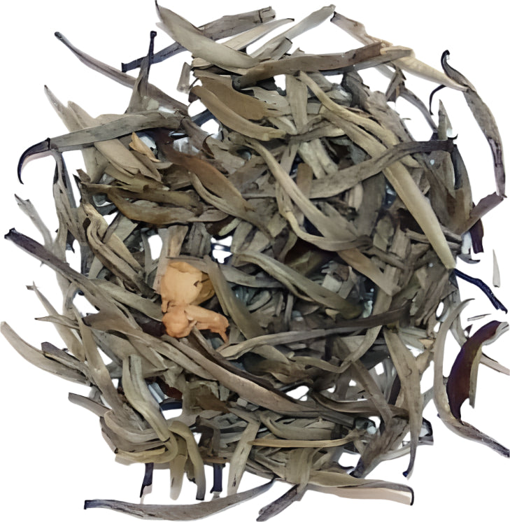 White Tea - Mo Li Yin Zhen Jasmine Silver Needle Tea | Drink Great Tea