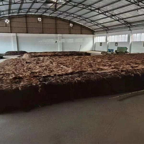 Puerh Tea - Lao Cha Ancient Tree Shu Pu'er Dark Tea | Drink Great Tea